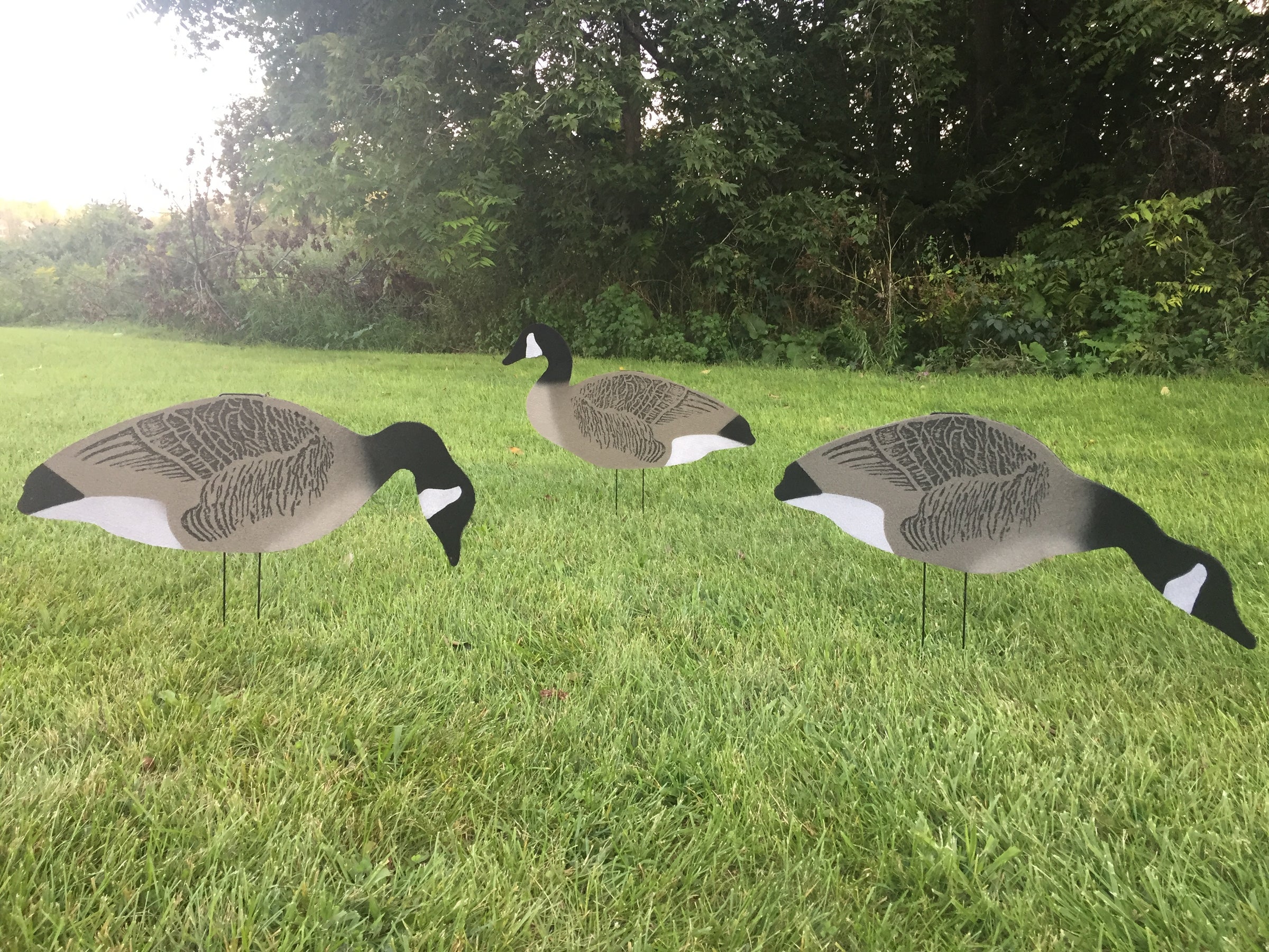 Homemade Goose Silhouette Decoys
